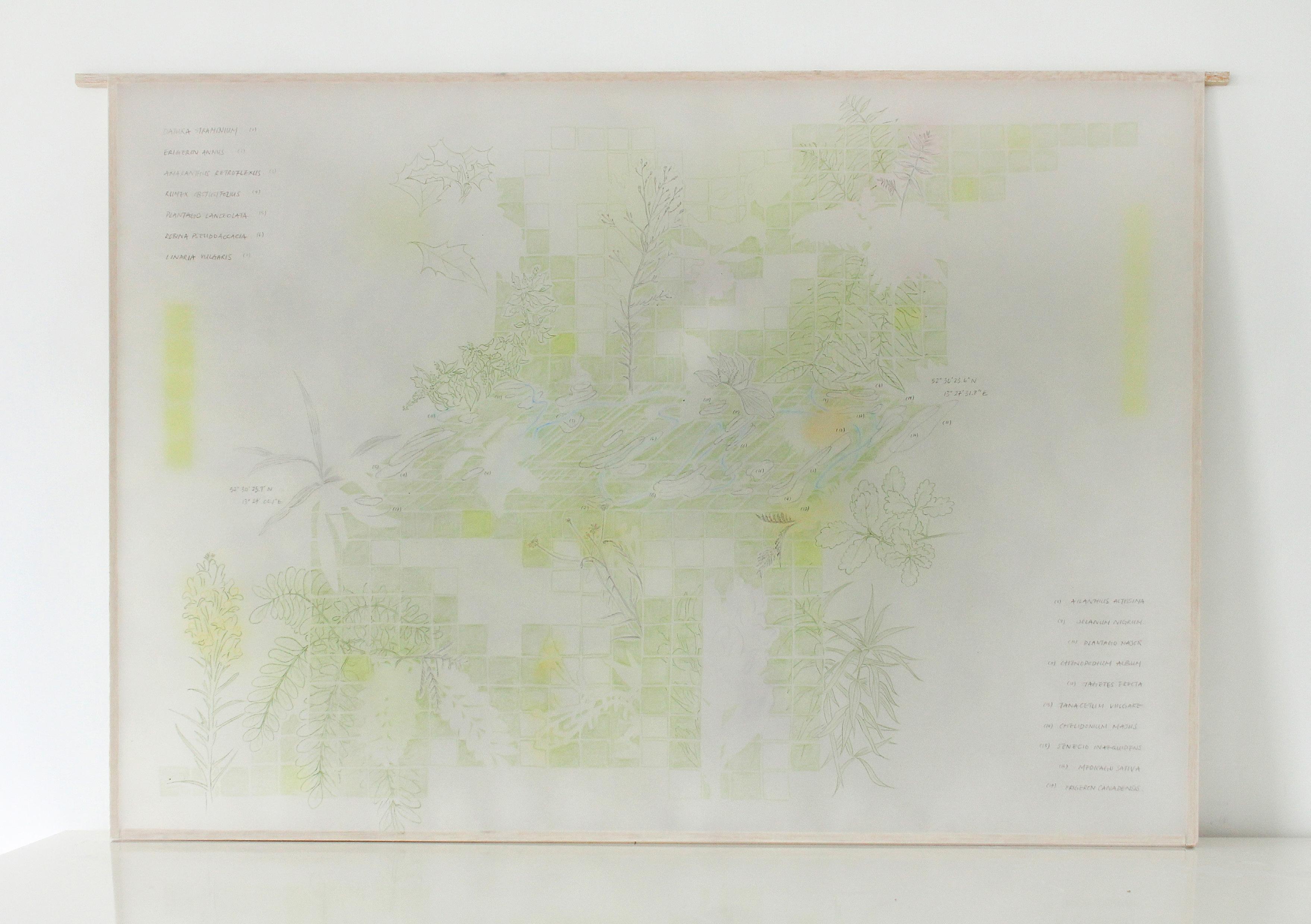 Isabel Law - MLA Portfolio - 2024 by Isabel Law - Issuu