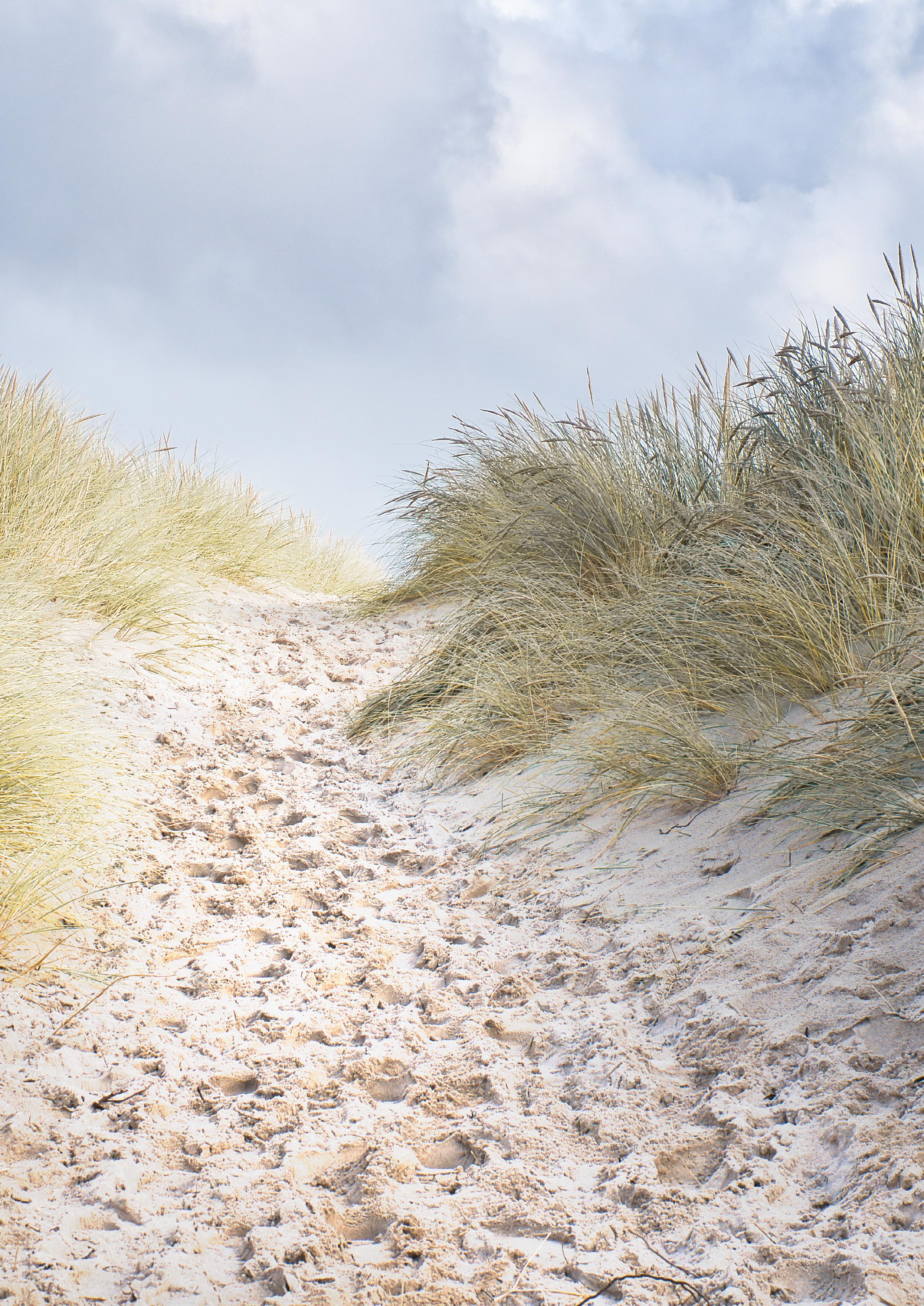 Builders Range 2024 by Nikpol Australia - Issuu