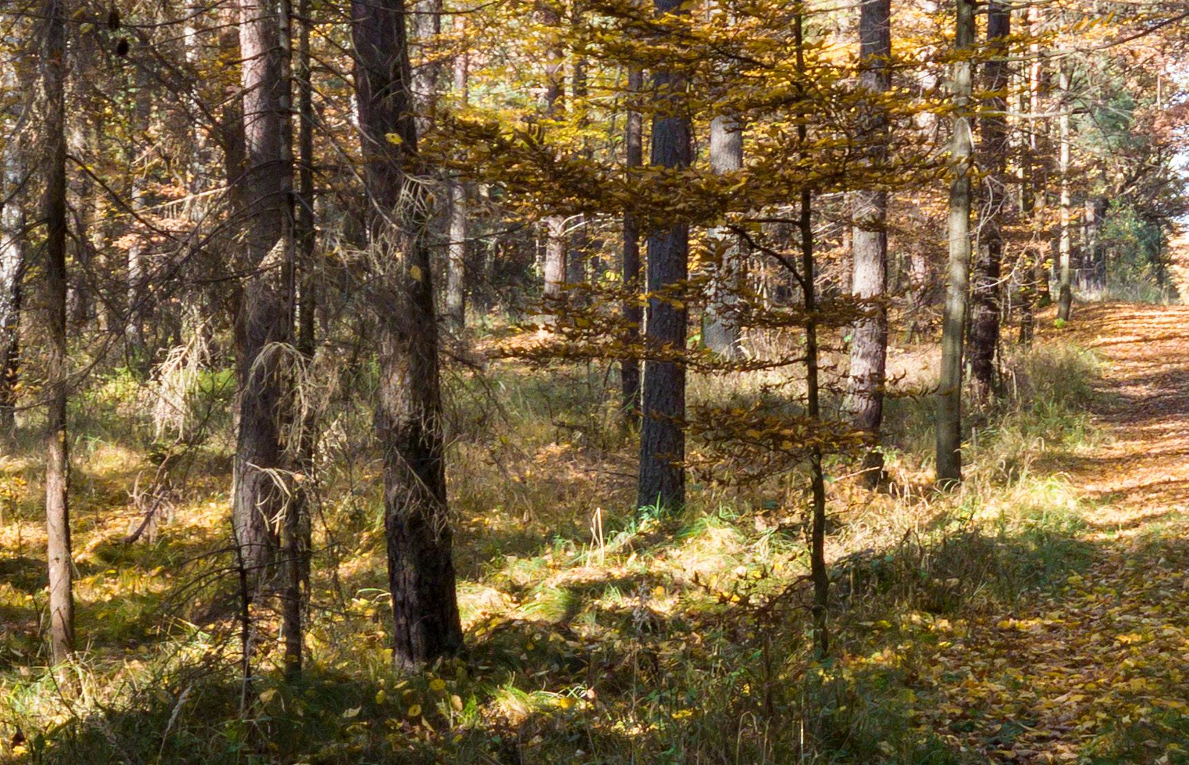 Builders Range 2024 by Nikpol Australia - Issuu