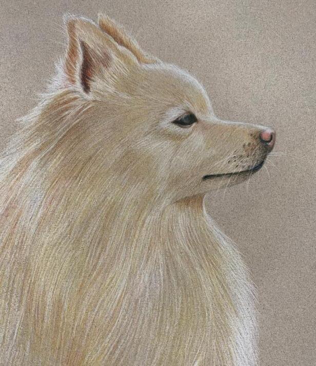 Kimberly Salas Portfolio 2024 by Kimberly Salas - Issuu