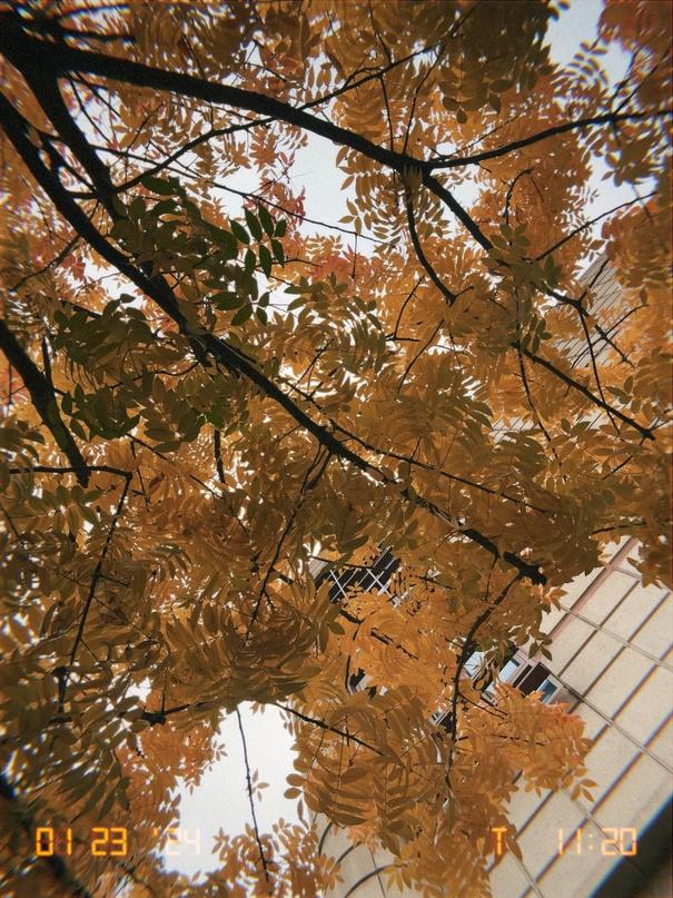 Nabie Vy Chu 2024 Portfolio by Nabie Chu - Issuu