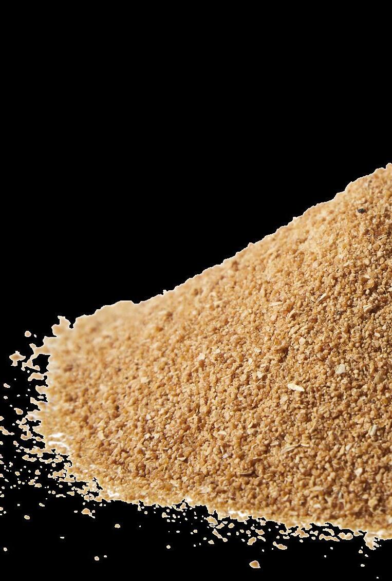 EP200: Fermented soy protein for young animals by European Protein - Issuu