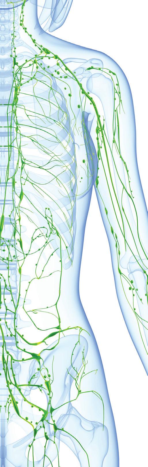 Overview Of Lymphatic Surgeries By Canadian Lymphedema Framework Issuu