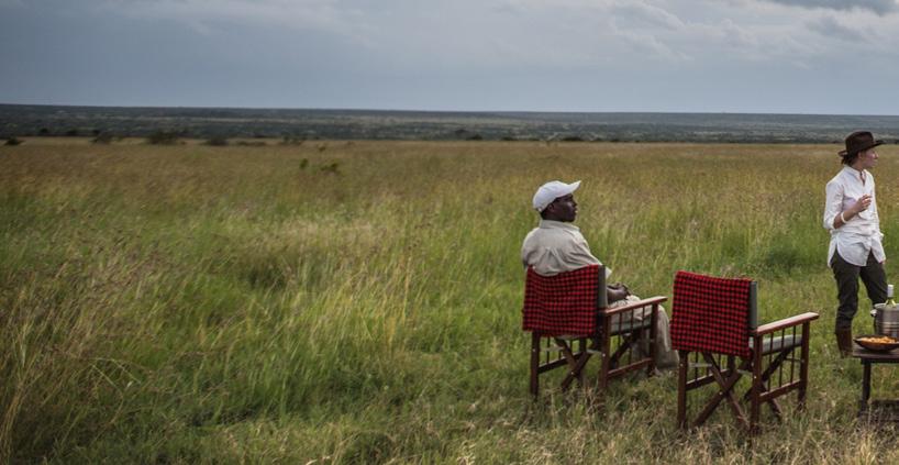 Exclusive Pride Safaris by TTC Africa - Issuu