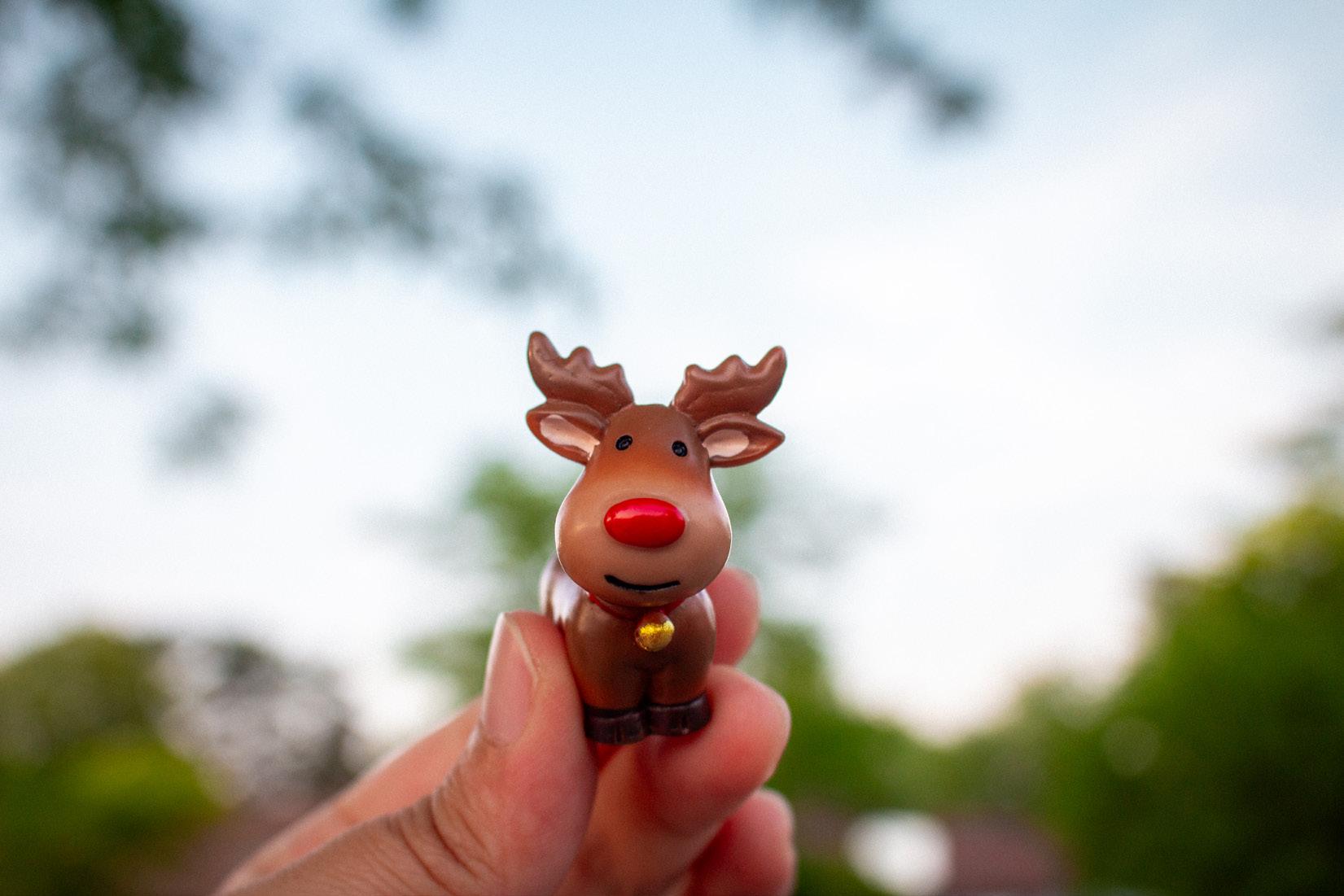 Ruby the Reindeer by Eva Tang - Issuu