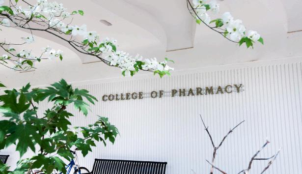 2024 PharmD Commencement Program by ugarx - Issuu