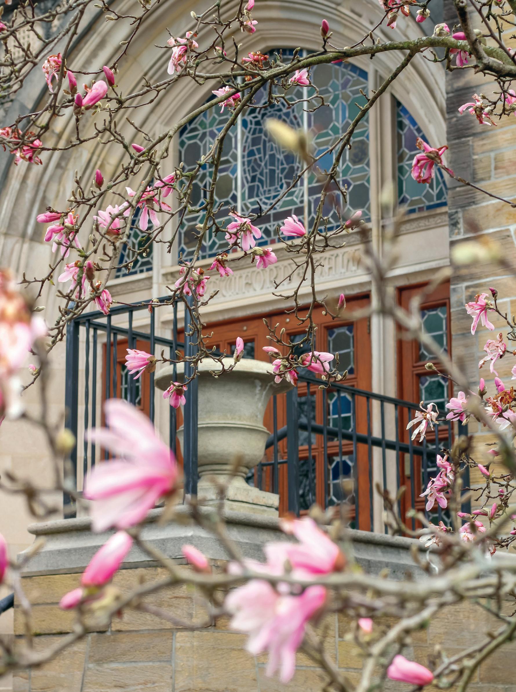 The Collegian, May 3, 2024 by Grove City College - Issuu