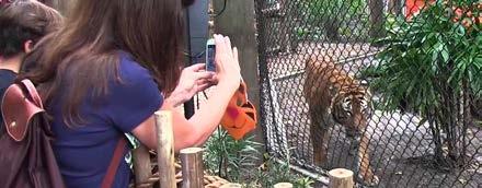 Tri-Rail Fun Guide by Tri-Rail - Issuu