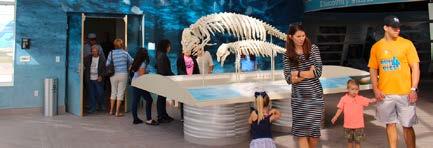 Tri-Rail Fun Guide by Tri-Rail - Issuu