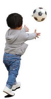 Stephanie Shue Architecture Portfolio 2024 by sshue2 - Issuu