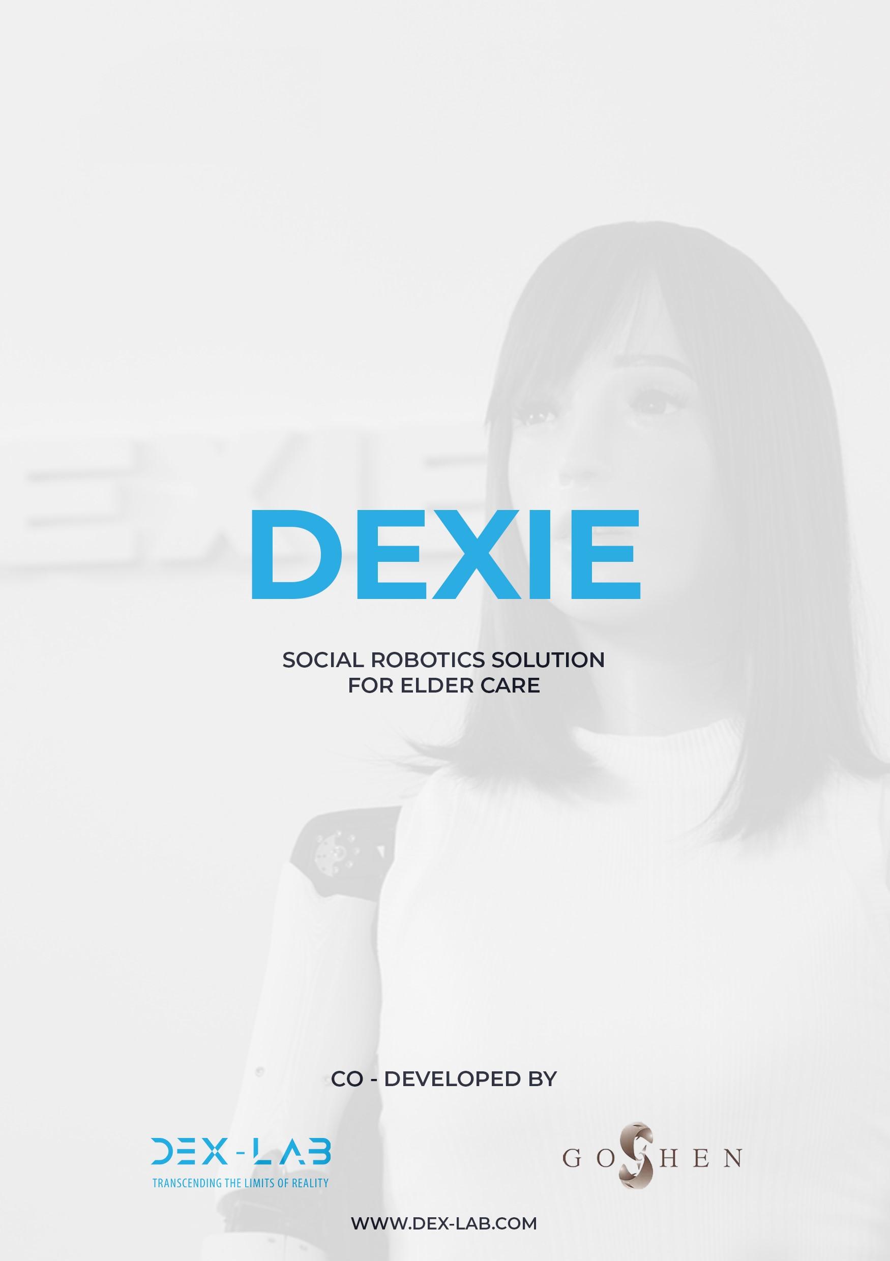 Dex-Lab Brochure by John Paulo - Issuu