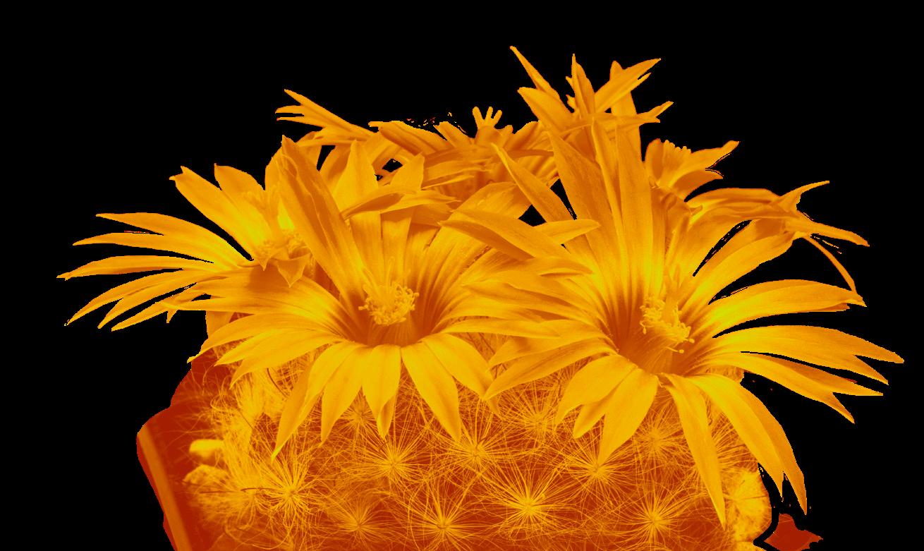 2023 Annual Review by COREWECAN - Issuu