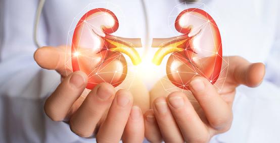 URELOG LIBRITO by Lelwin Rivera - Issuu