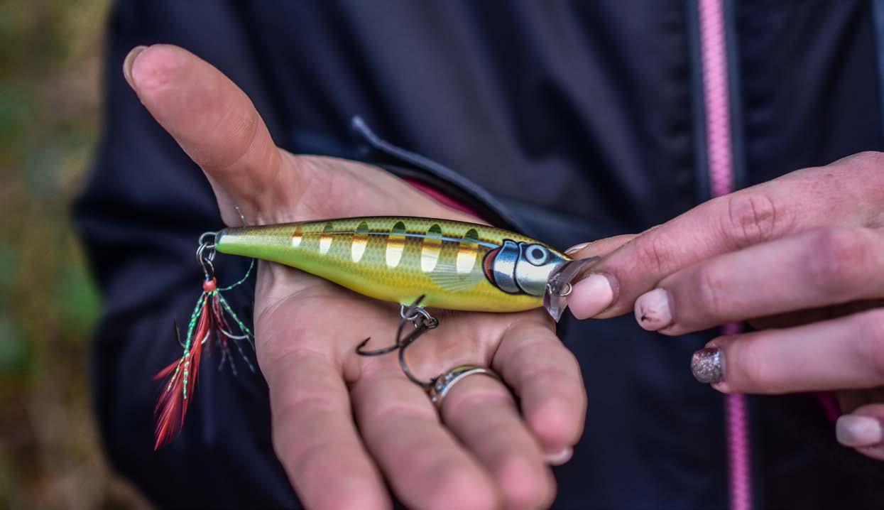 Catálogo Rapala VMC Brasil 2024 by Rapala VMC Spain - Issuu