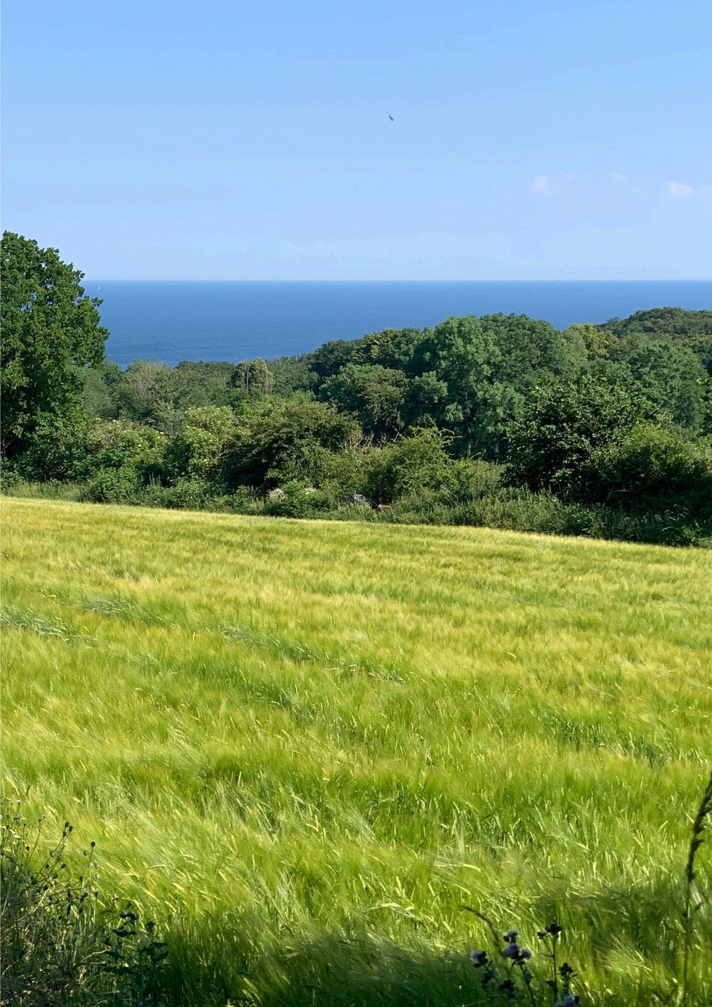 Österlen by Österlen - Issuu