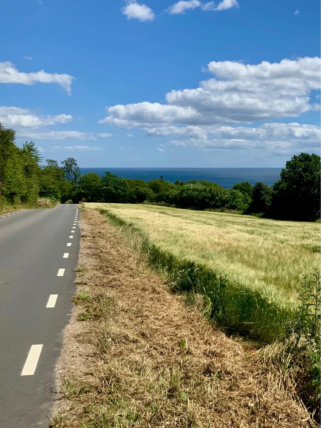 Österlen by Österlen - Issuu