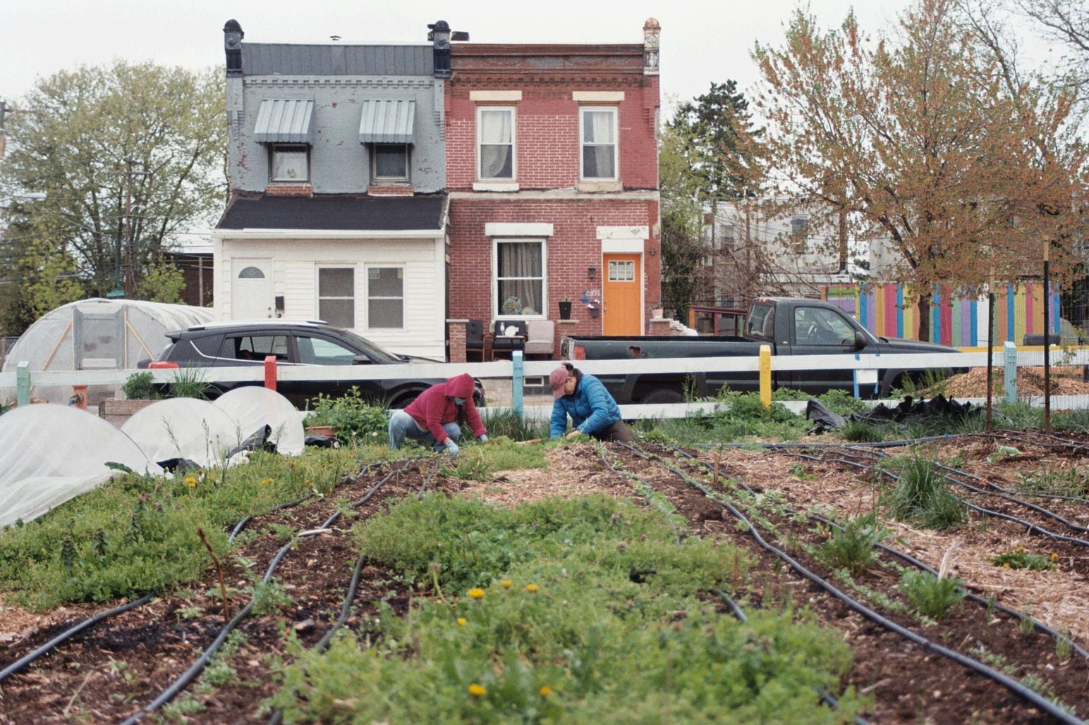 Intergenerational Farming: Karen refugees in Philadelphia by Maddie - Issuu