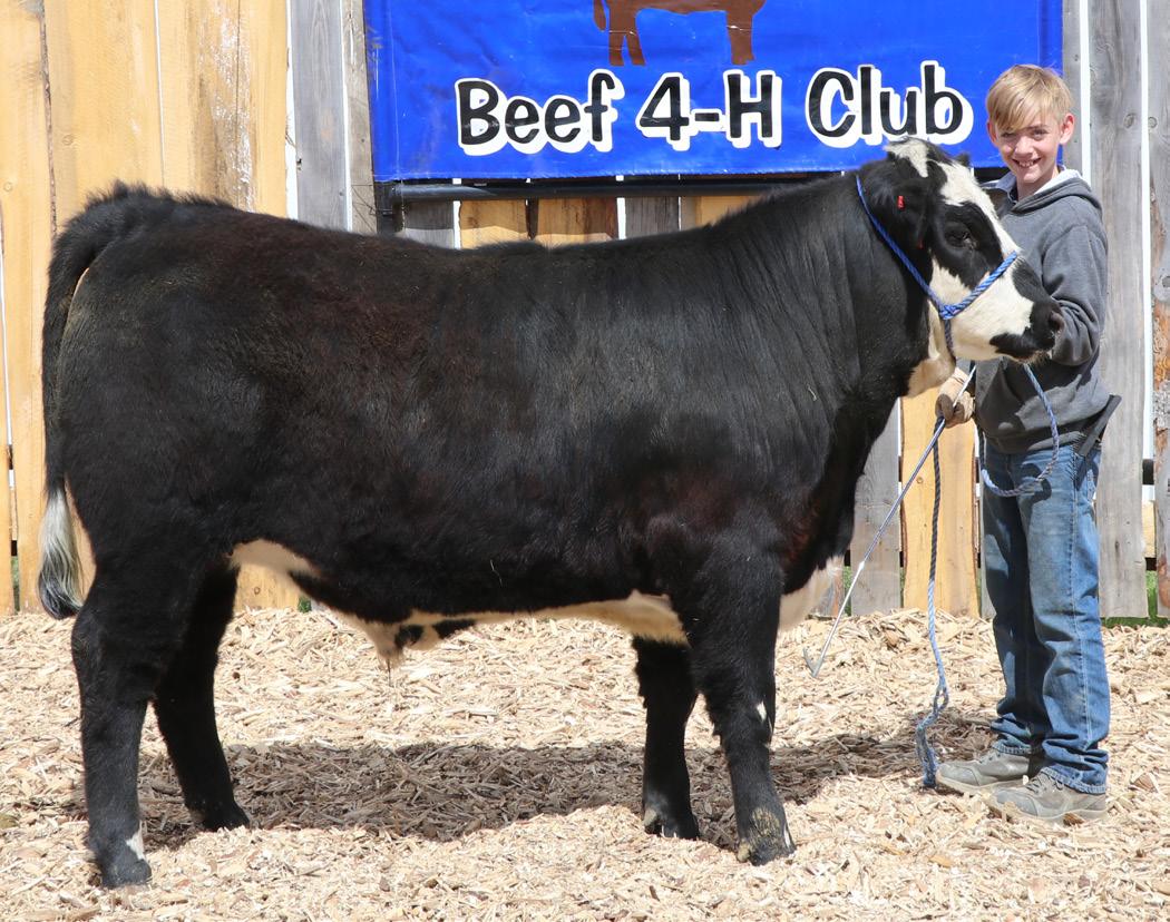 2024 Kneehill Valley 4-H Beef Club Achievement Day by bnhlivestock - Issuu