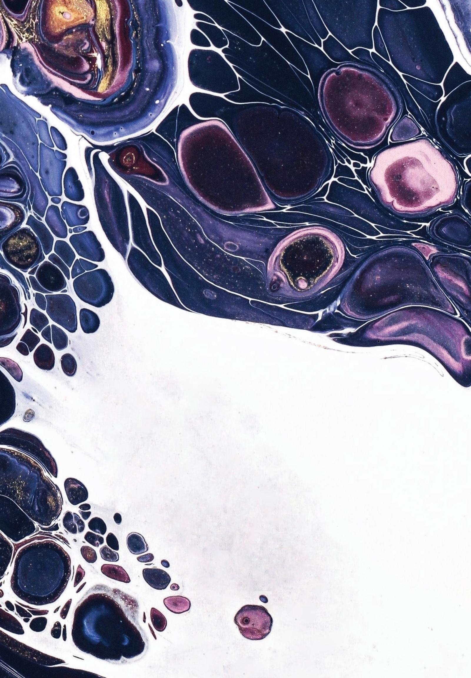 Platform | Issue 13 // 2022 by City of Hobart - Issuu