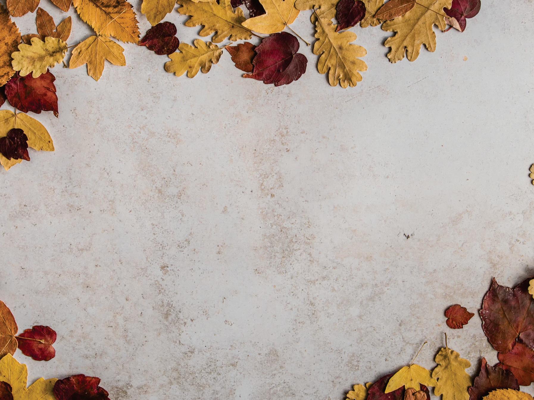 GIT Calendar 2024 by GuyanaIslamicTrust - Issuu