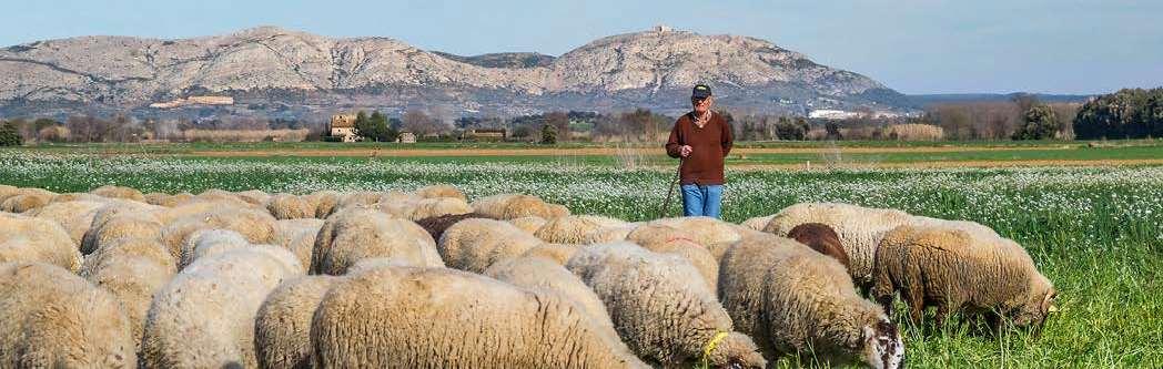 DT127-biohub by biohubcat - Issuu