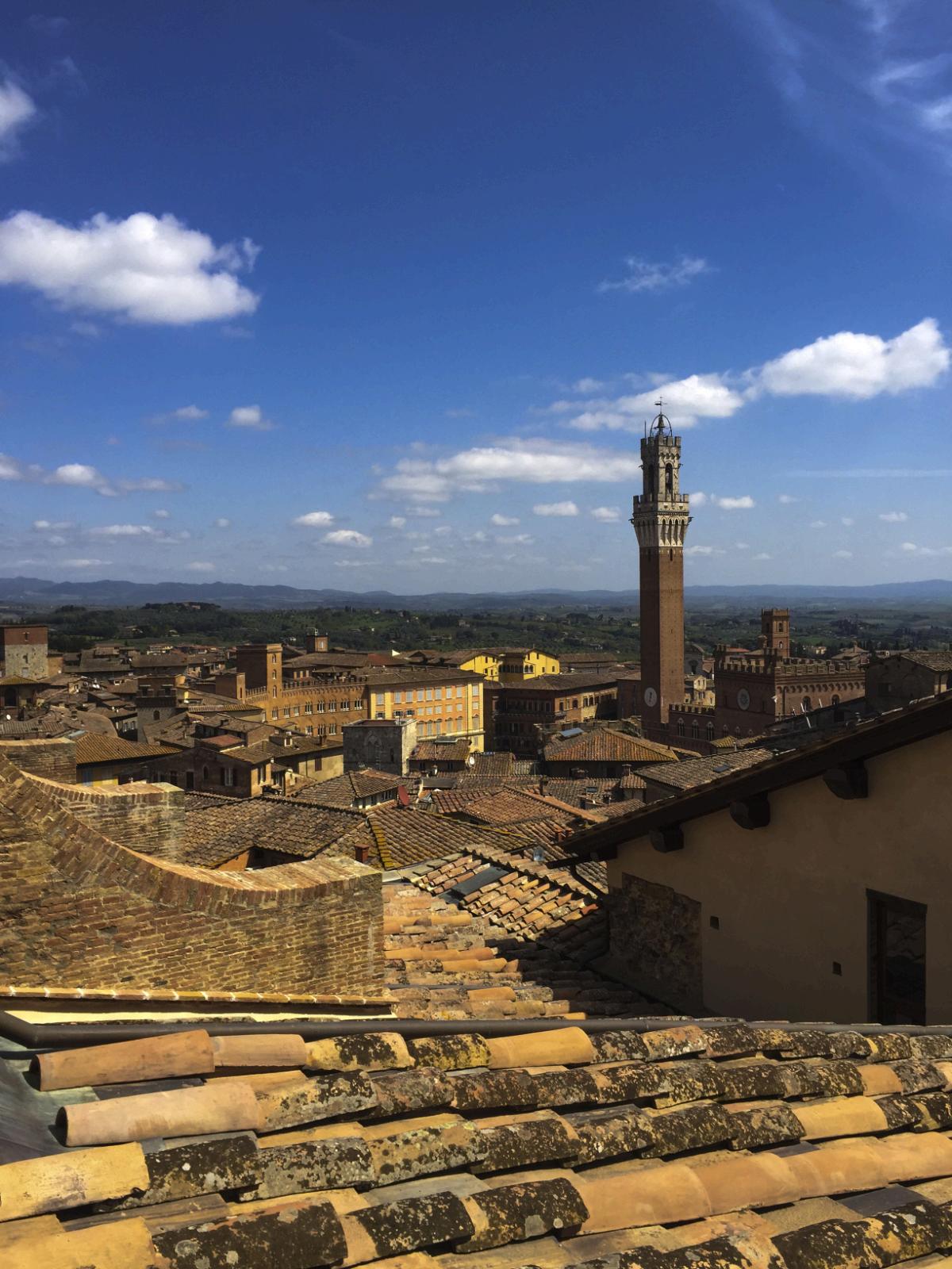 Final project portfolio Nyla(Nalani) Nelson by Nalani Nelson - Issuu