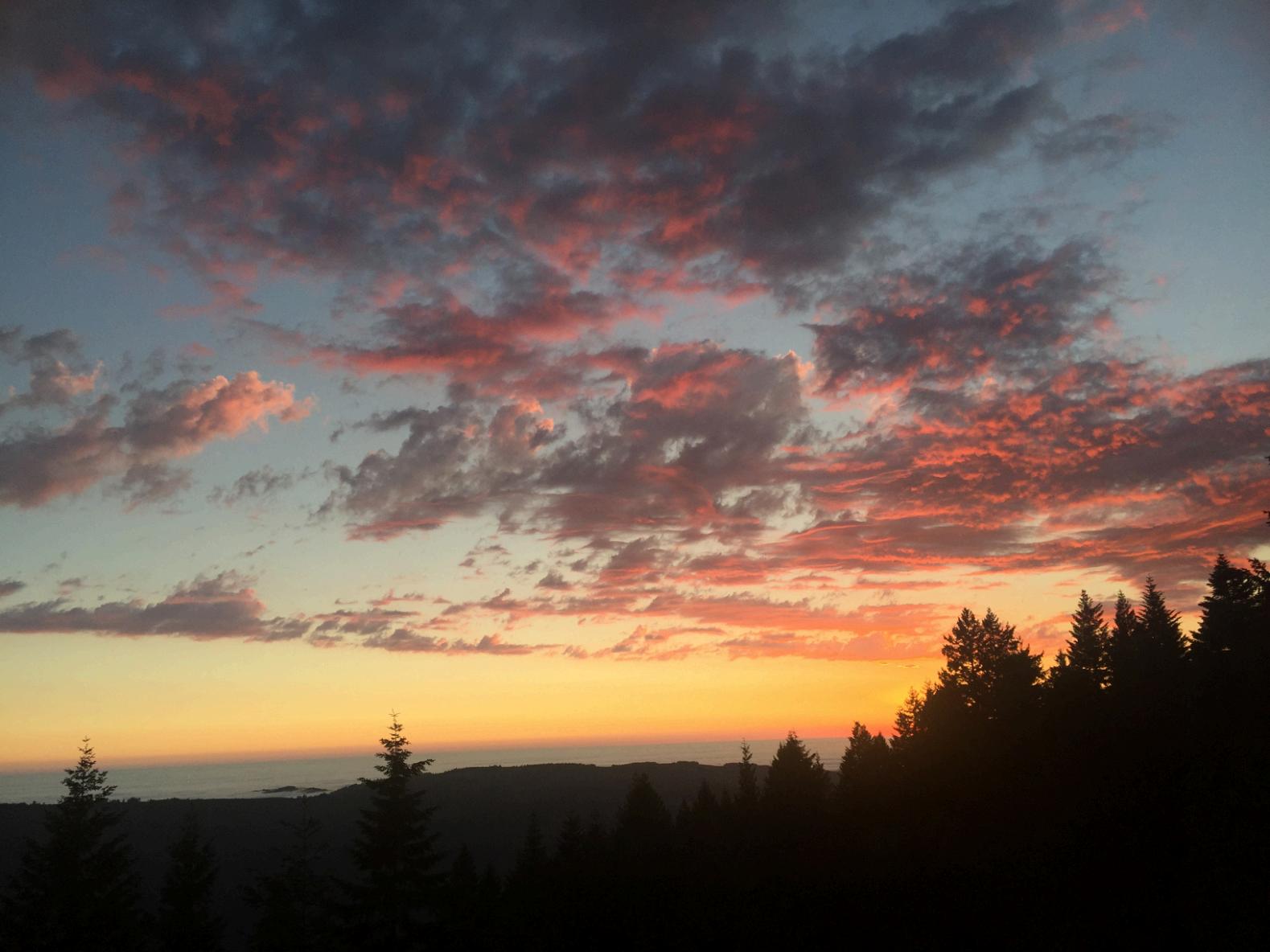 Final project portfolio Nyla(Nalani) Nelson by Nalani Nelson - Issuu