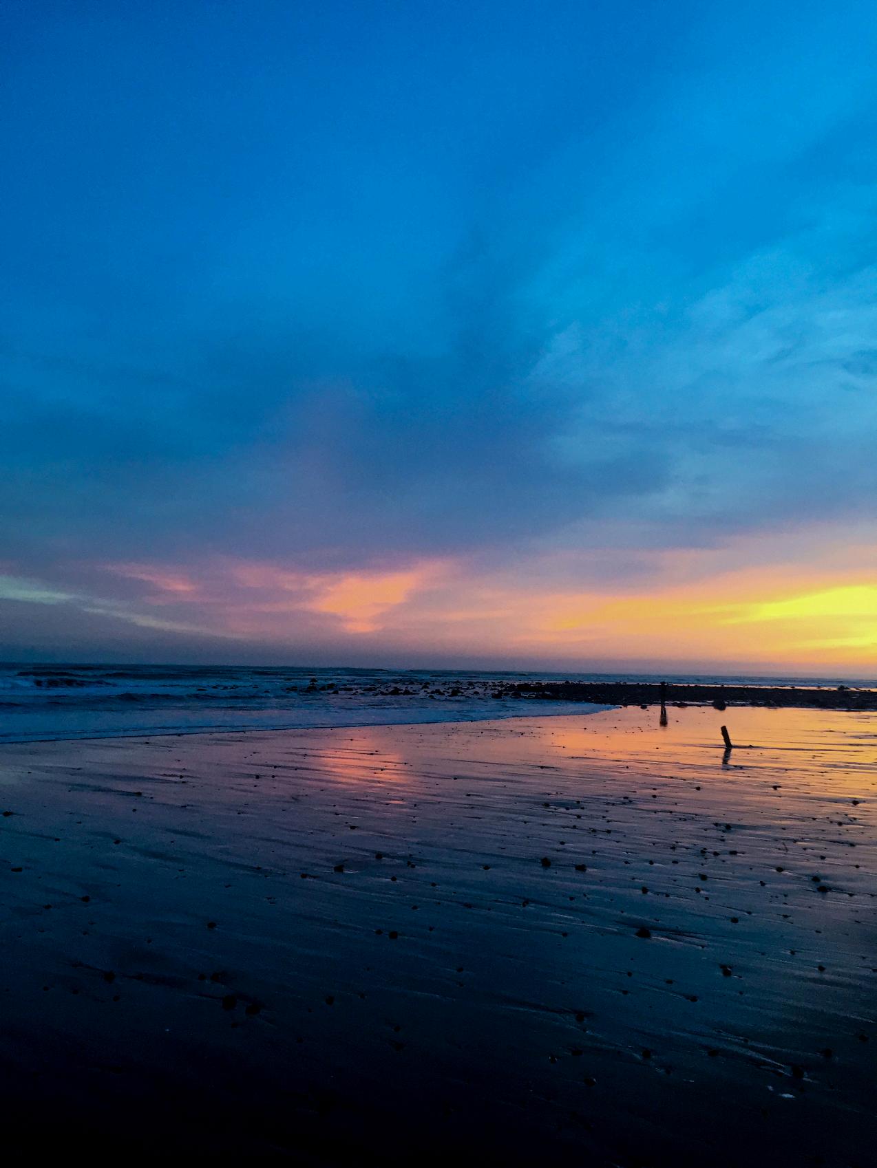 Final project portfolio Nyla(Nalani) Nelson by Nalani Nelson - Issuu