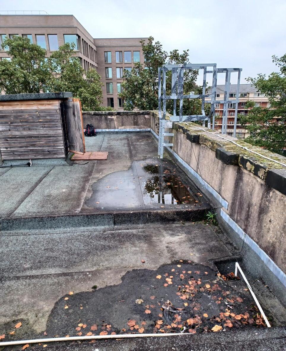 Purcell Guidance on RAAC in Listed Buildings by Purcell Architecture ...