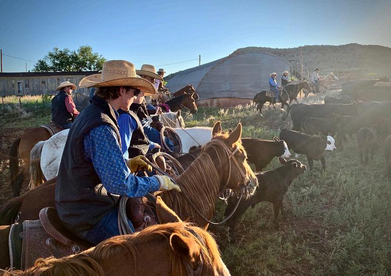 NMCGA Journal - June 2024 by New Mexico Cattle Growers' Association - Issuu