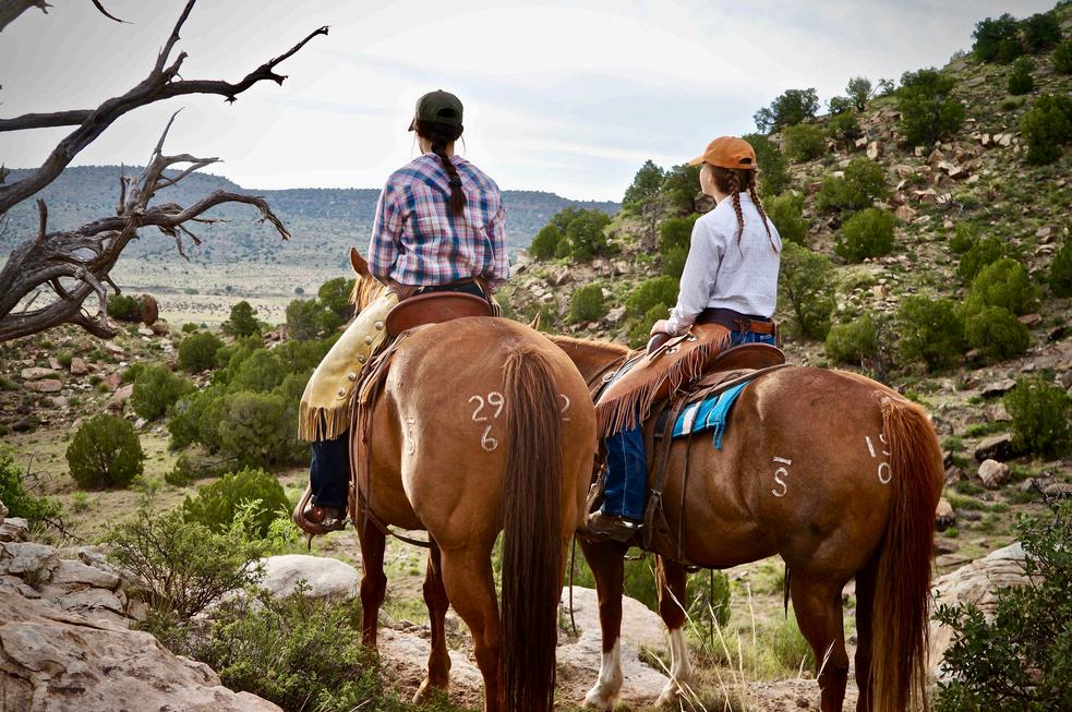 NMCGA Journal - June 2024 by New Mexico Cattle Growers' Association - Issuu