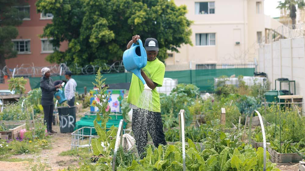 Social Infrastructure: Connecting People and Places for Healthy ...