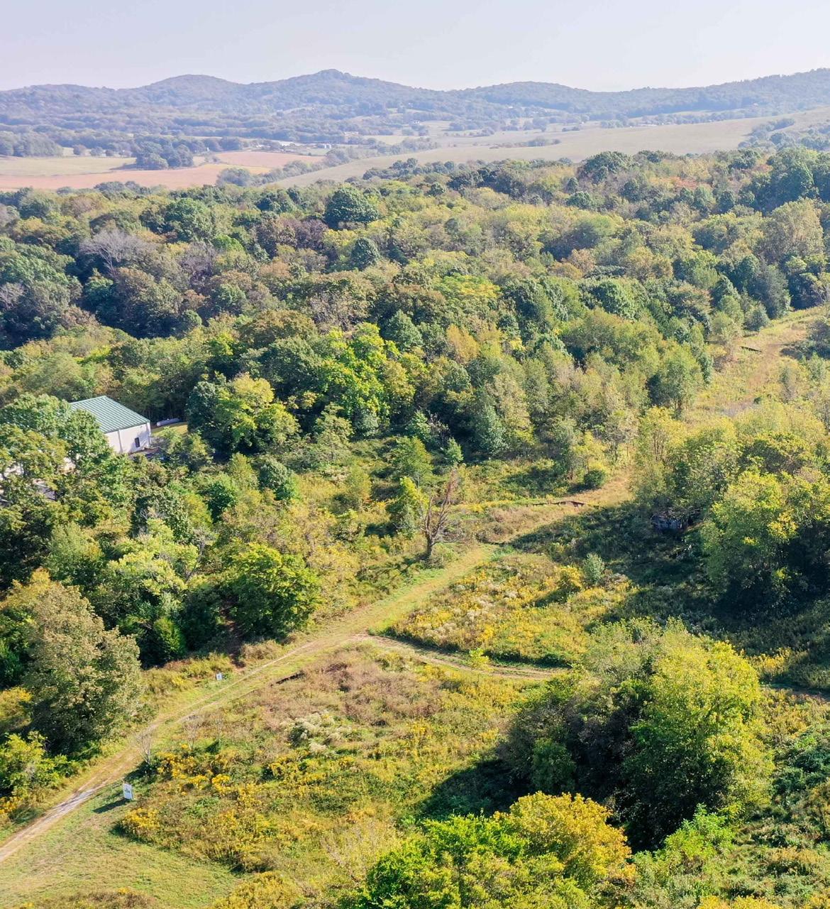 Arrington Woods | Arrington, TN | Phase 1 by Lisa Culp Taylor | LCT ...