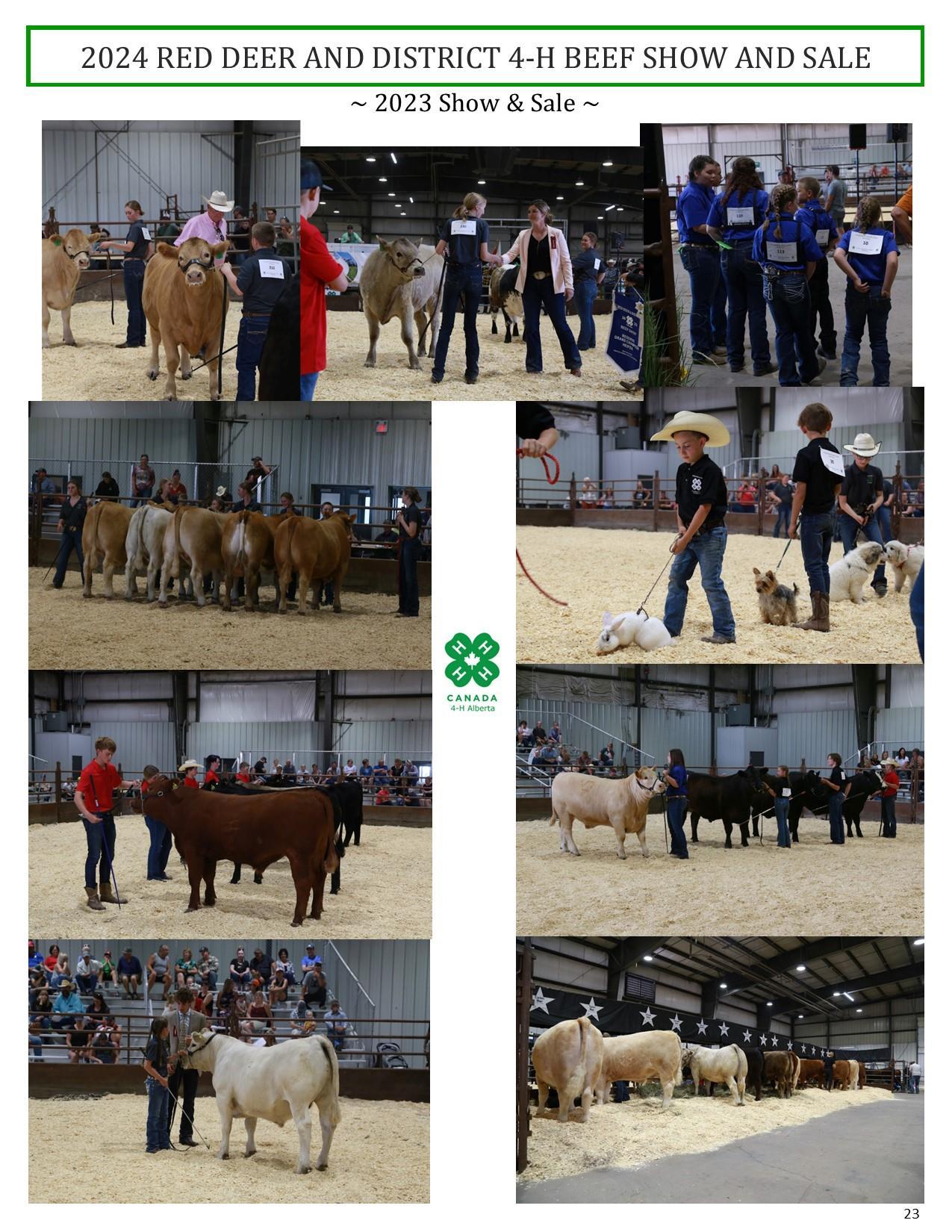 Red Deer & District 4-H Beef Show & Sale Catalog 2024 by ...