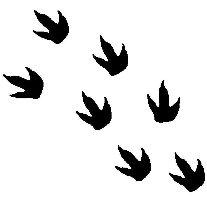 Harrison Cornelius Portfolio by Harrison Cornelius - Issuu