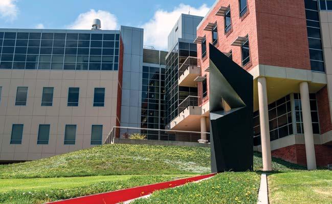 College of Natural Sciences & Mathematics-CSULB Commencement 2024 by ...