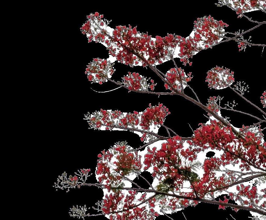 BOG2024_PROGRAM by telavivuni - Issuu