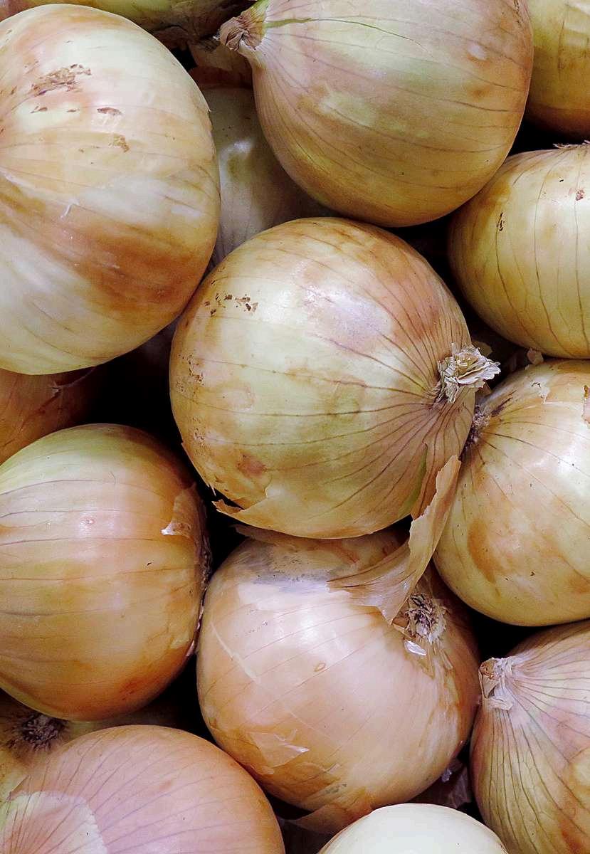 Previa WC by Brújula Creativa - Issuu