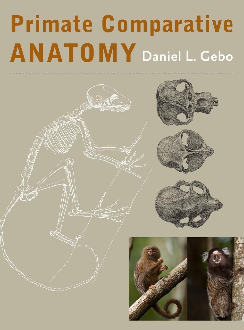PDF_⚡ Primate Comparative Anatomy by rachelgommras - Issuu