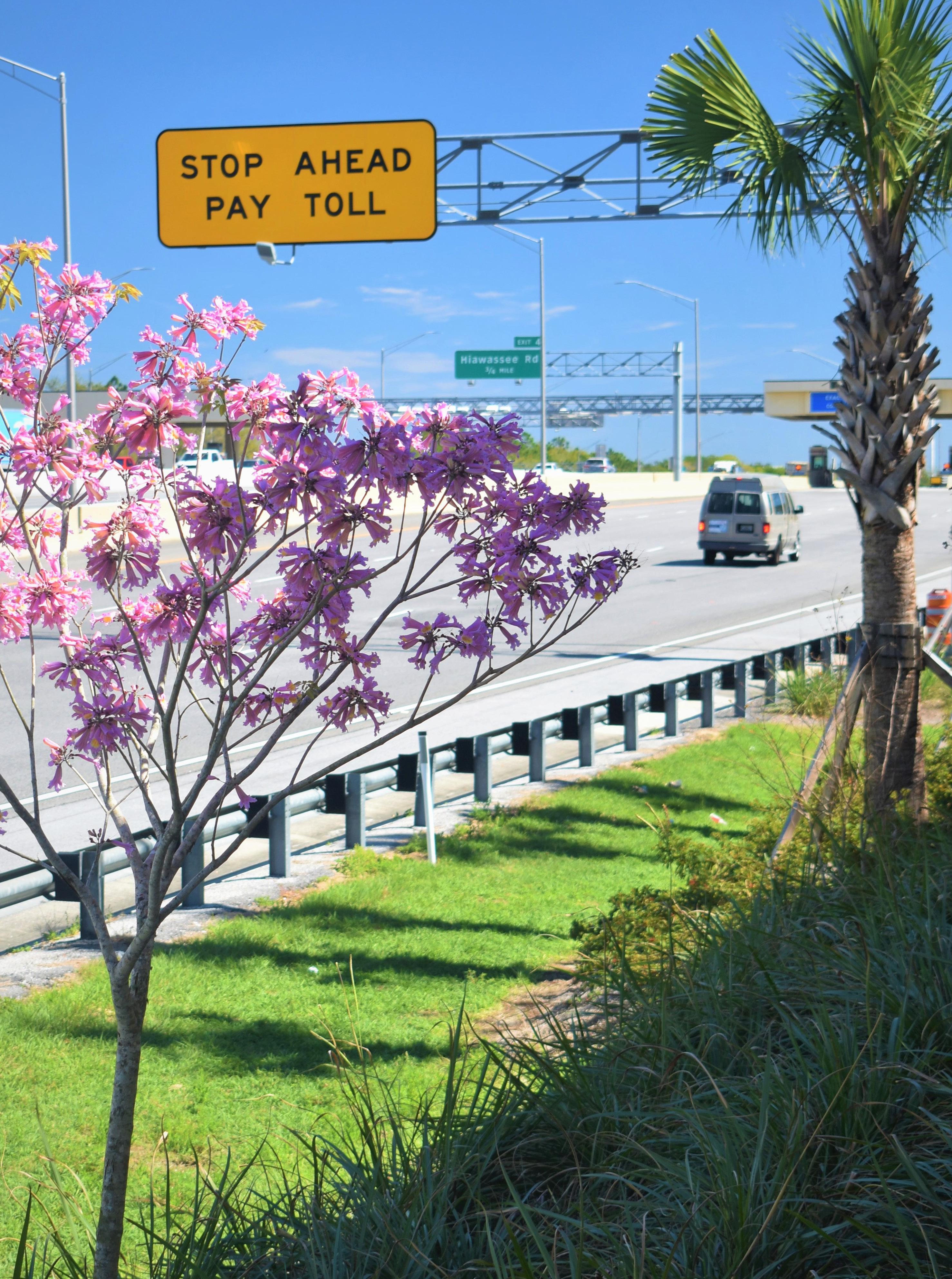 CFX's 2045 Master Plan by cfxway - Issuu