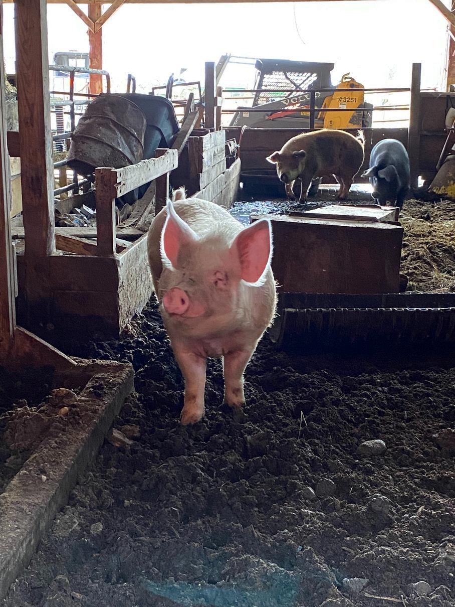 Our Canvas - Spring 2024 by Rumsey Hall School - Issuu