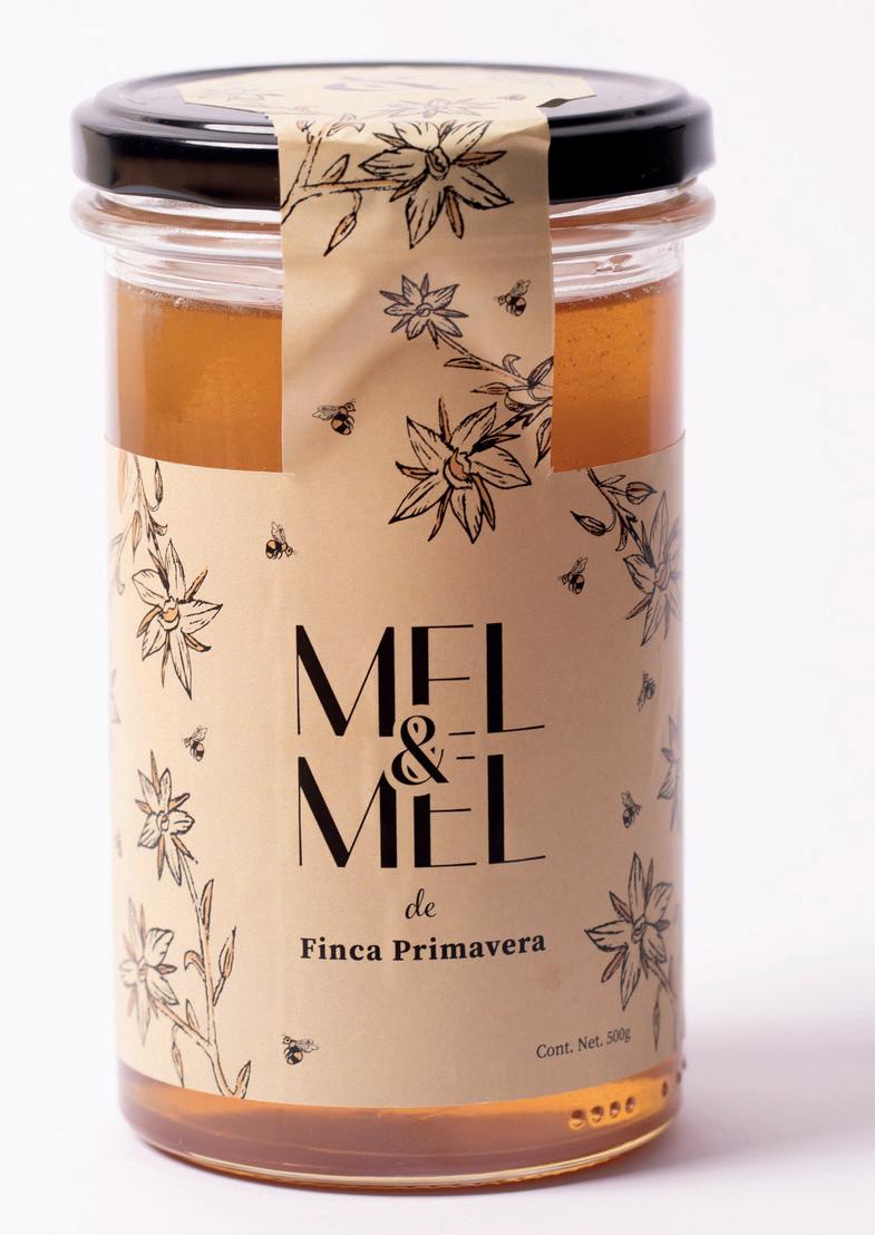 Portafolio Diseño Digital by Mariela Melgar - Issuu