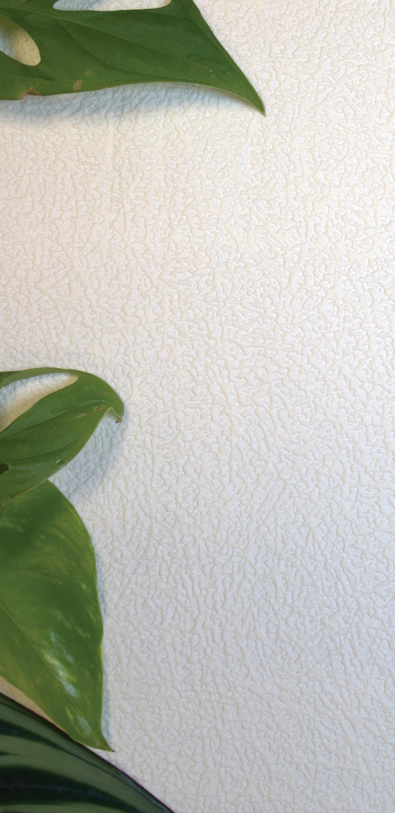 CCC Introduction & activity pack by murielcd - Issuu