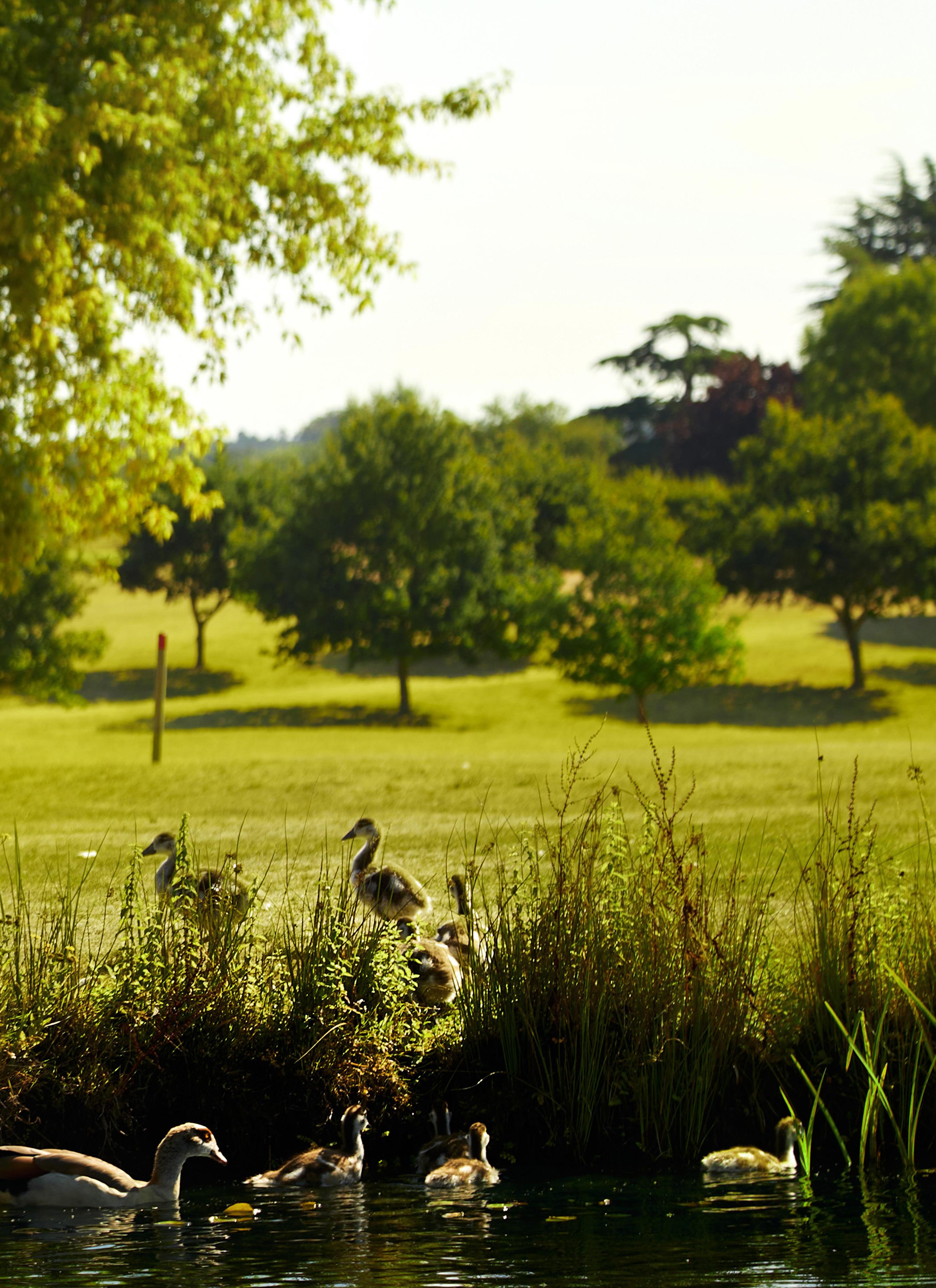 Ufford Park Resort Wedding Brochure by LQRcollection - Issuu