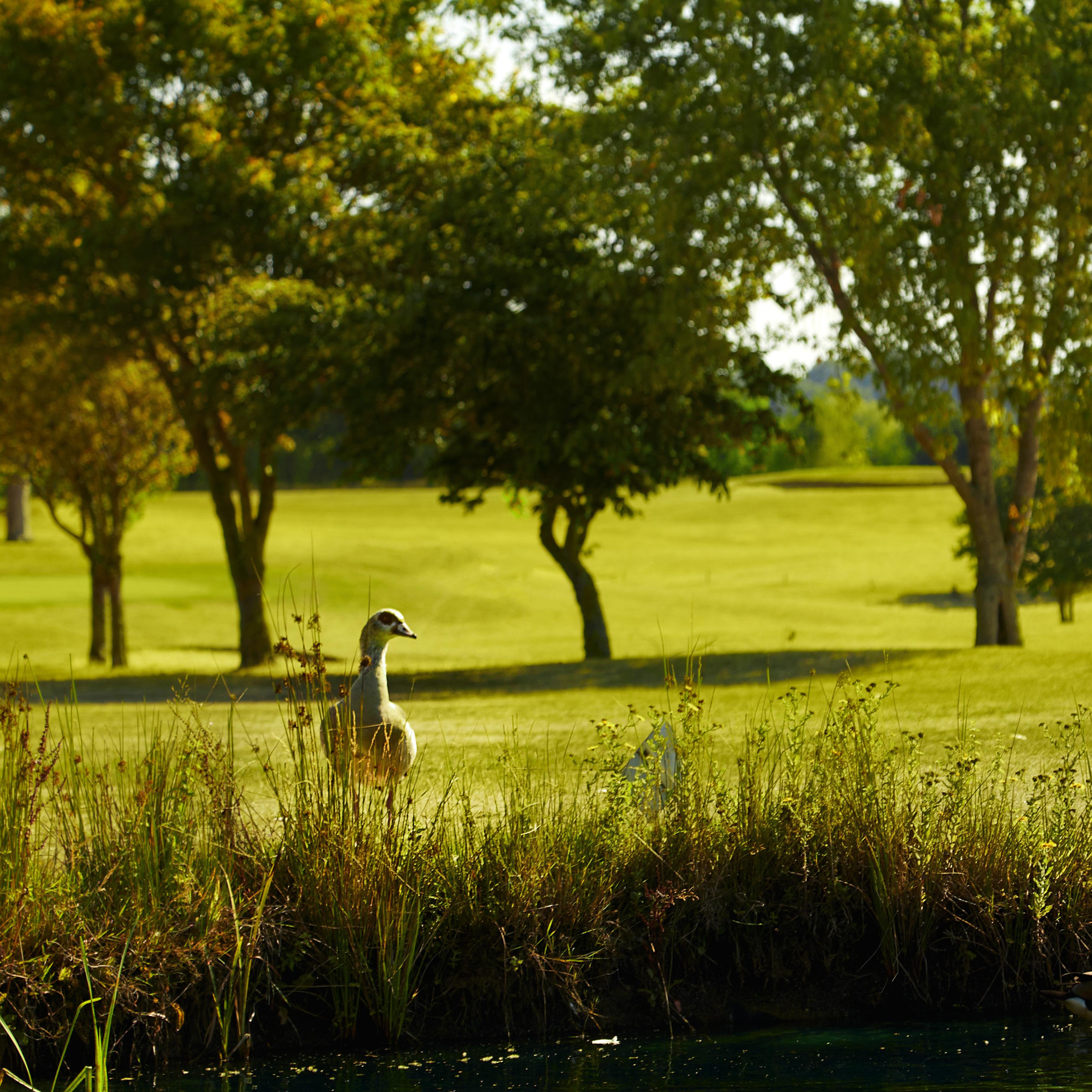 Ufford Park Resort Wedding Brochure by LQRcollection - Issuu