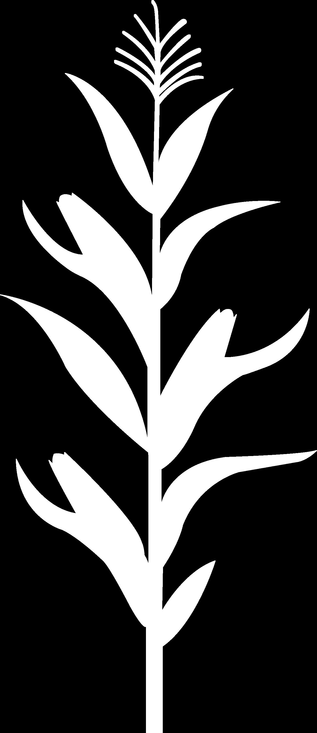 Manual de uso Taína by María José Cuartas Camacho - Issuu