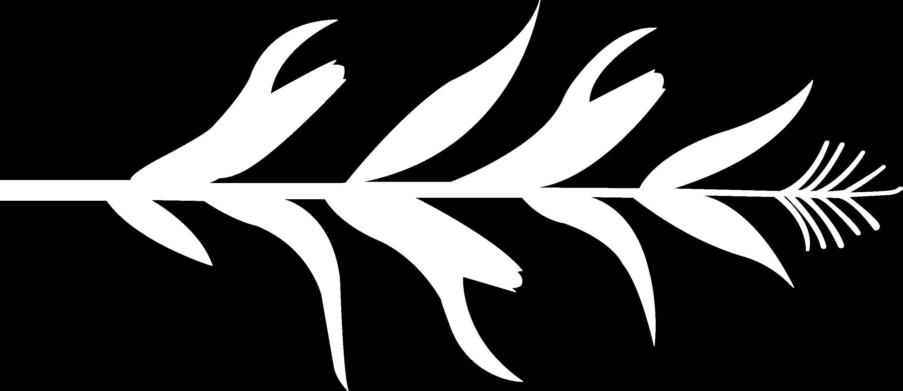 Manual de uso de Taína by María José Cuartas Camacho - Issuu