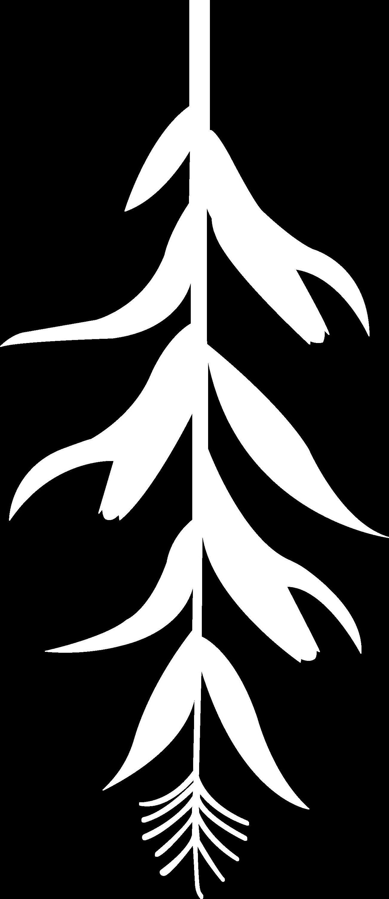 Manual de uso de Taína by María José Cuartas Camacho - Issuu