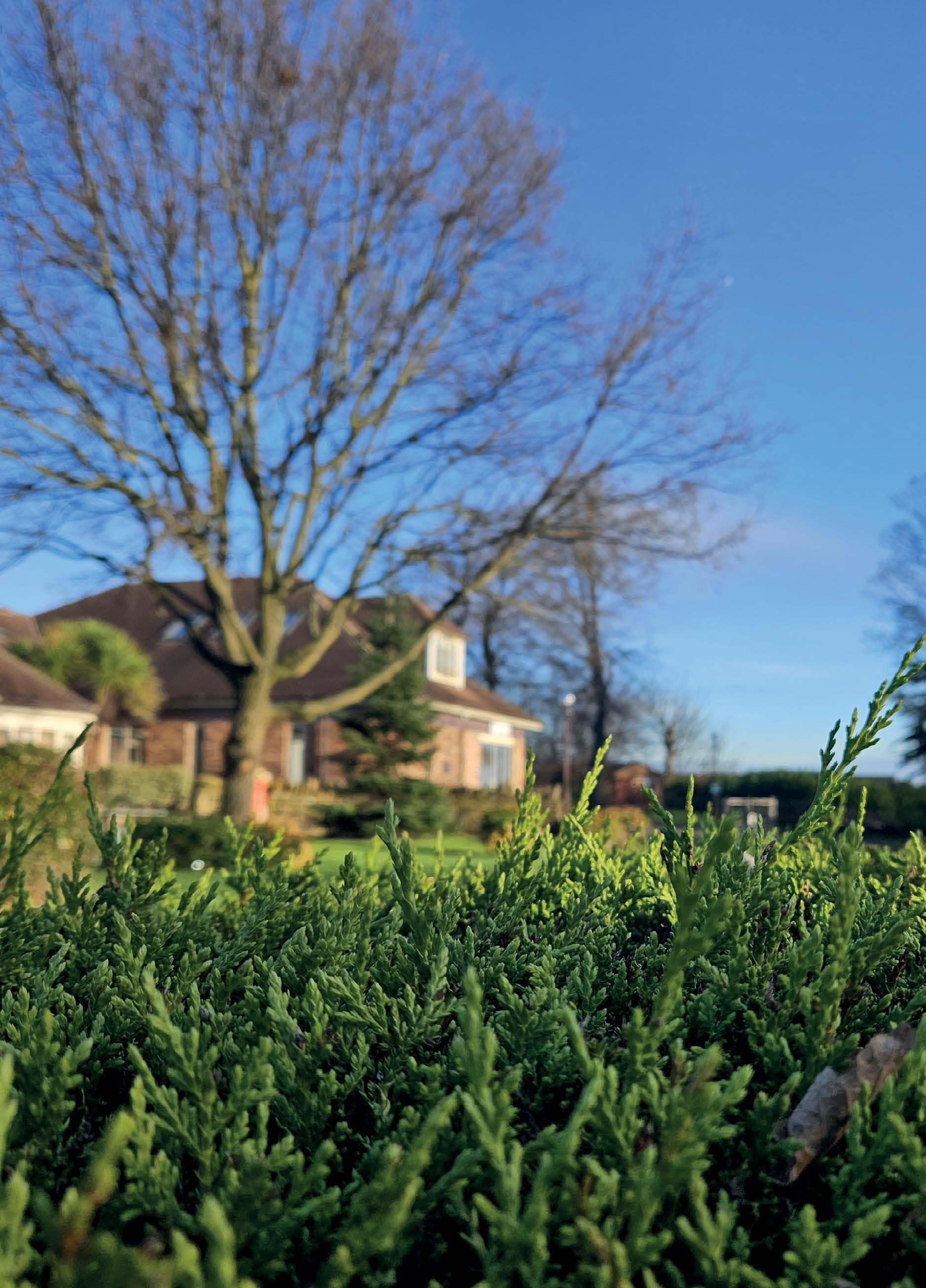 Wakefield Hospice Bereavement Booklet by bereavementadvice - Issuu