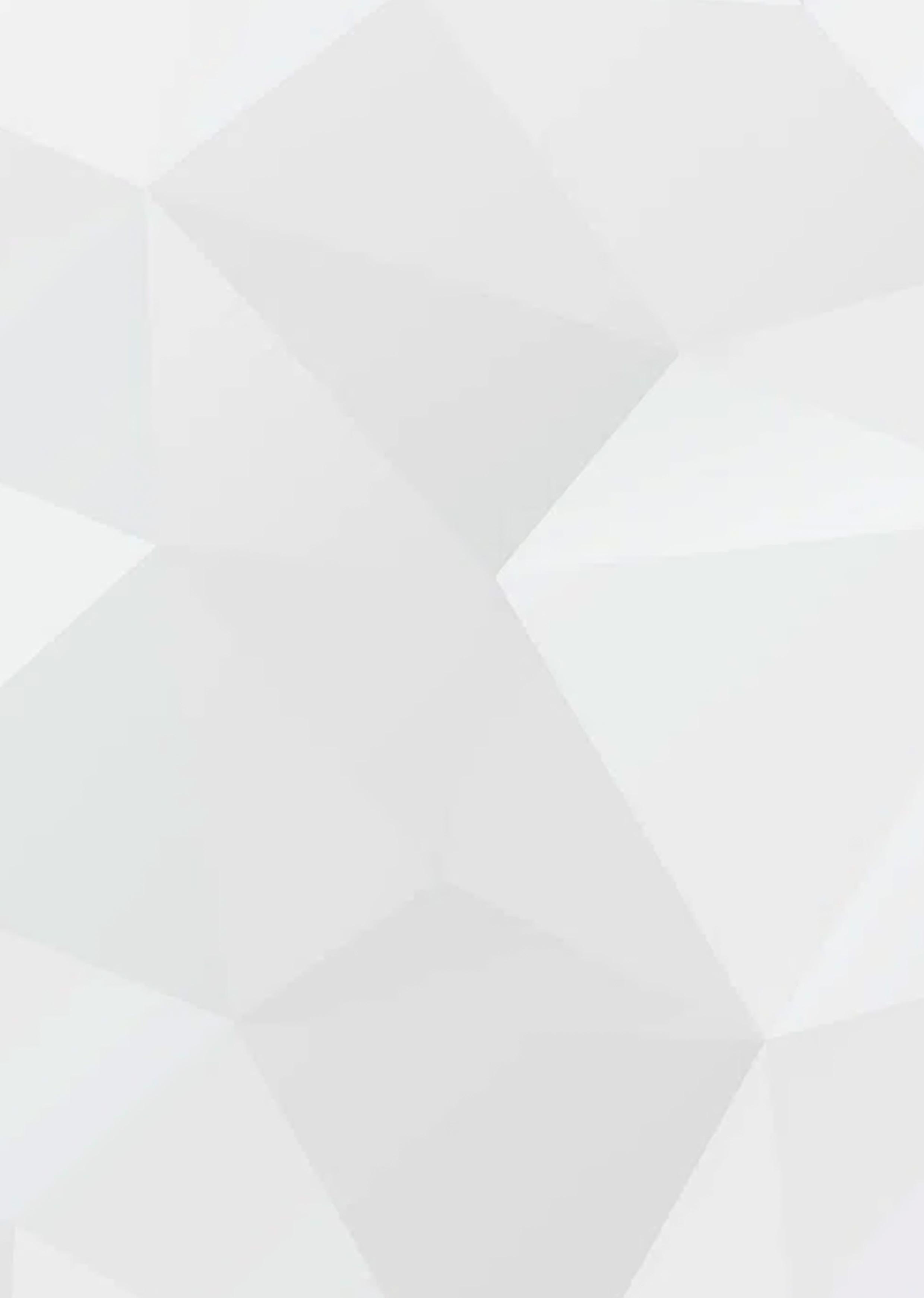 Garnet Company Profile 2024 by garnetnv - Issuu